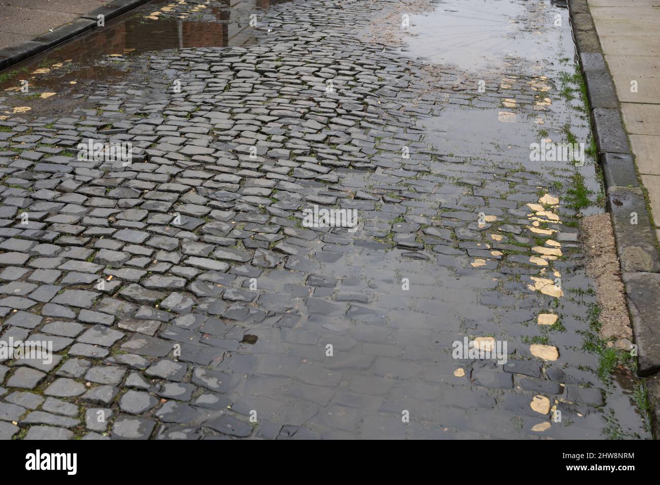 Puddles in a typical and traditional cobbled back lane behind terraced ...
