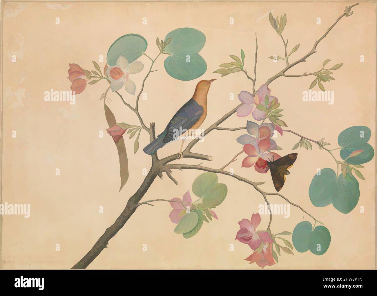 Painting artist india hi-res stock photography and images - Alamy