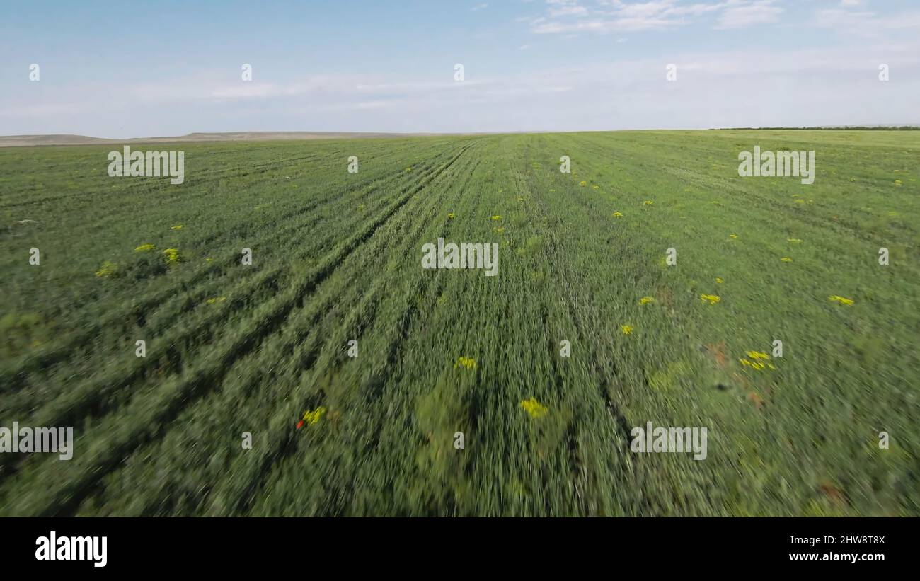 Beautiful green fields on horizon background. Shot. Flying over ...