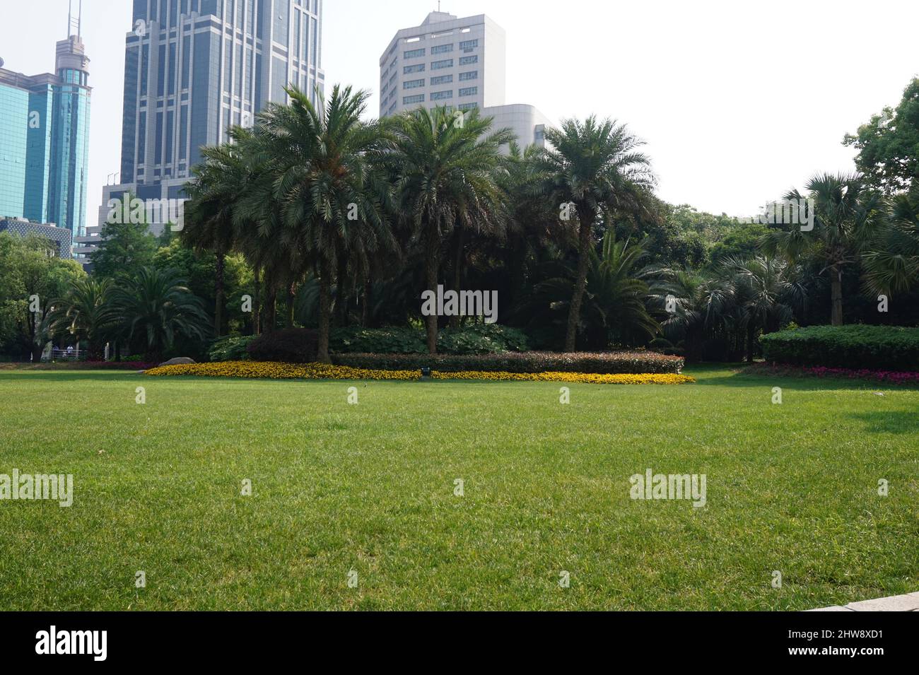 People’s park shanghai hi-res stock photography and images - Alamy