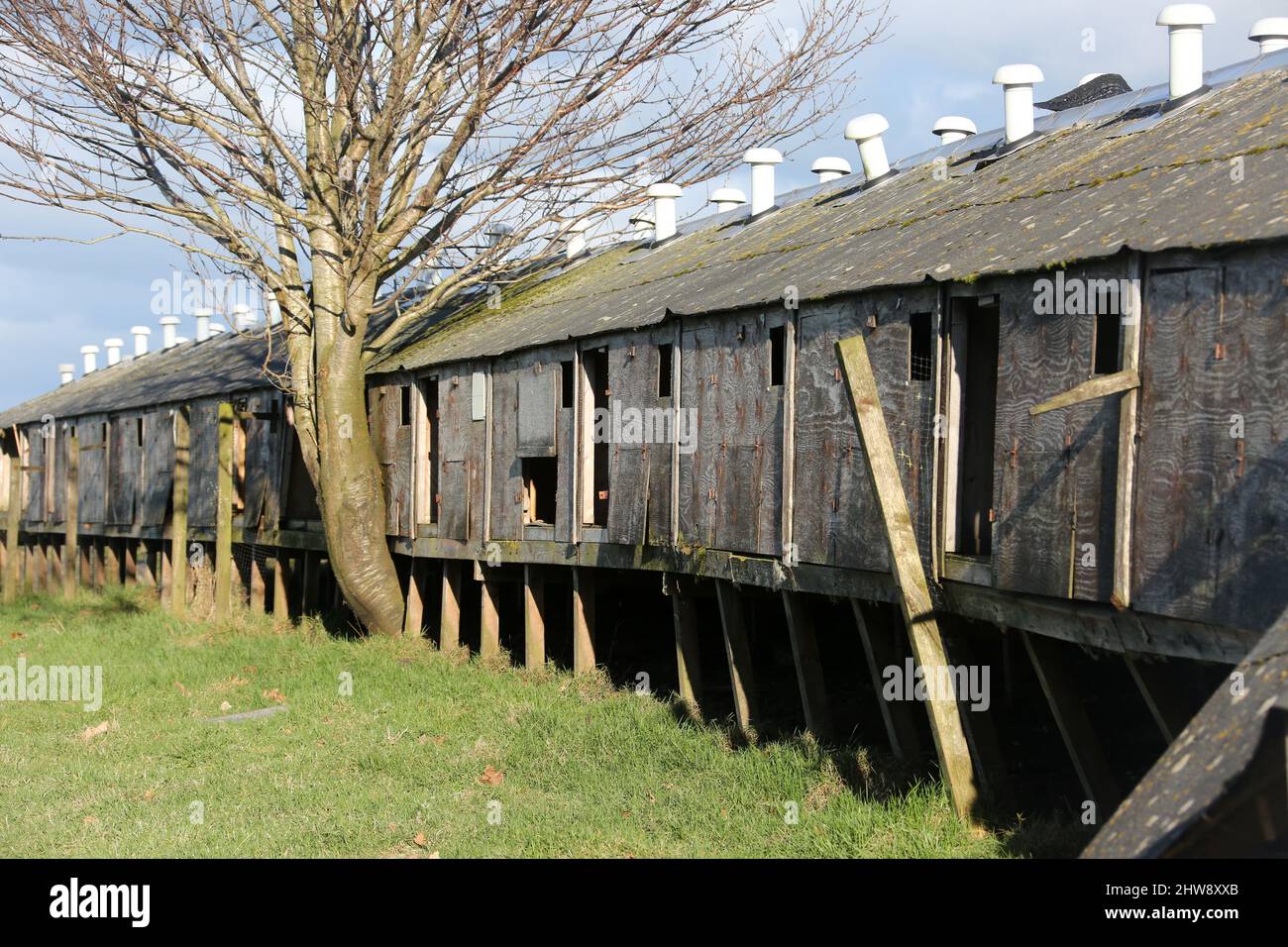 Auchencruive estate, Ayr, Ayrshire, Scotland, UK. The remains of a ...