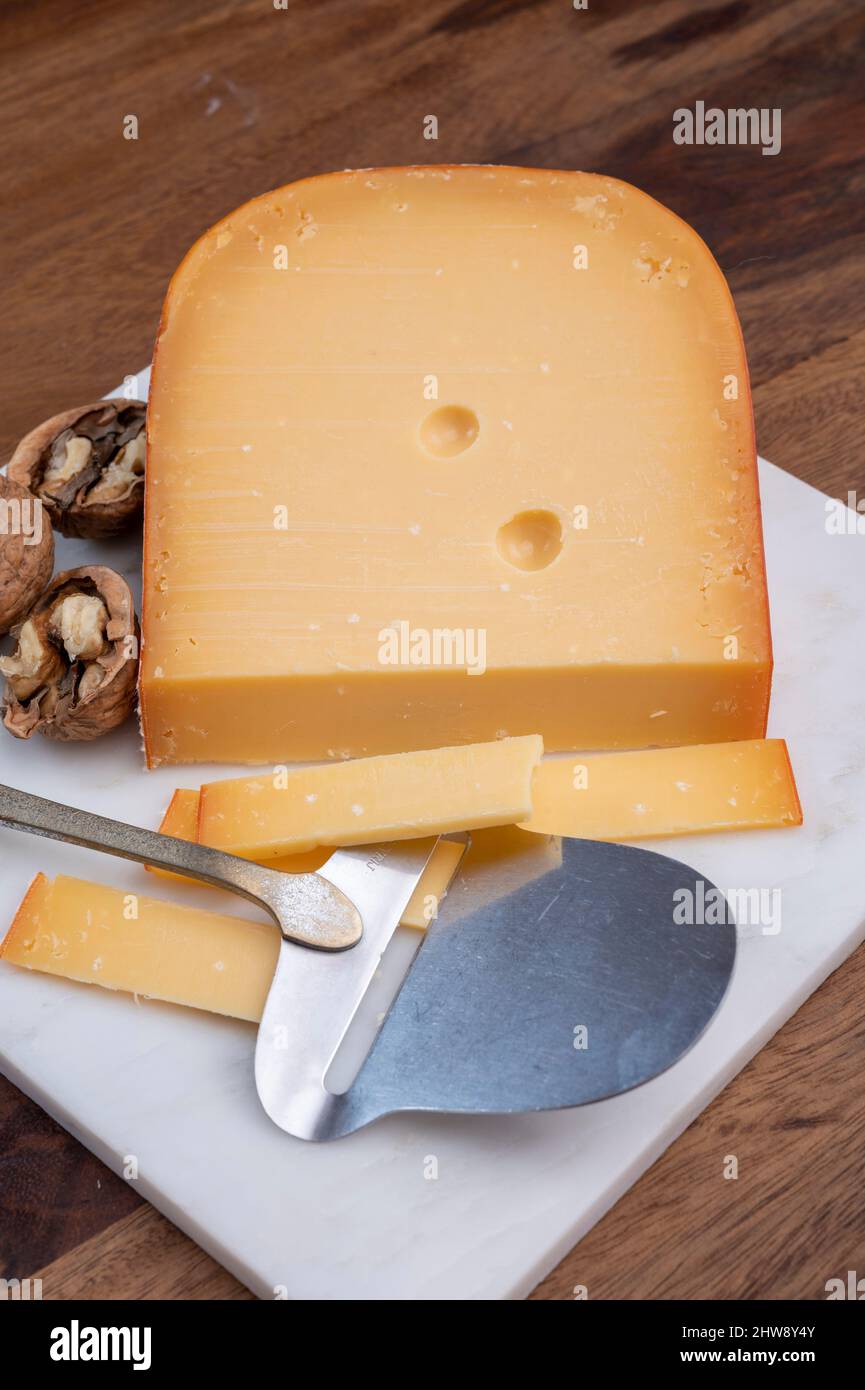 Dutch hard cow milk old yellow cheese from Gouda Stock Photo - Alamy