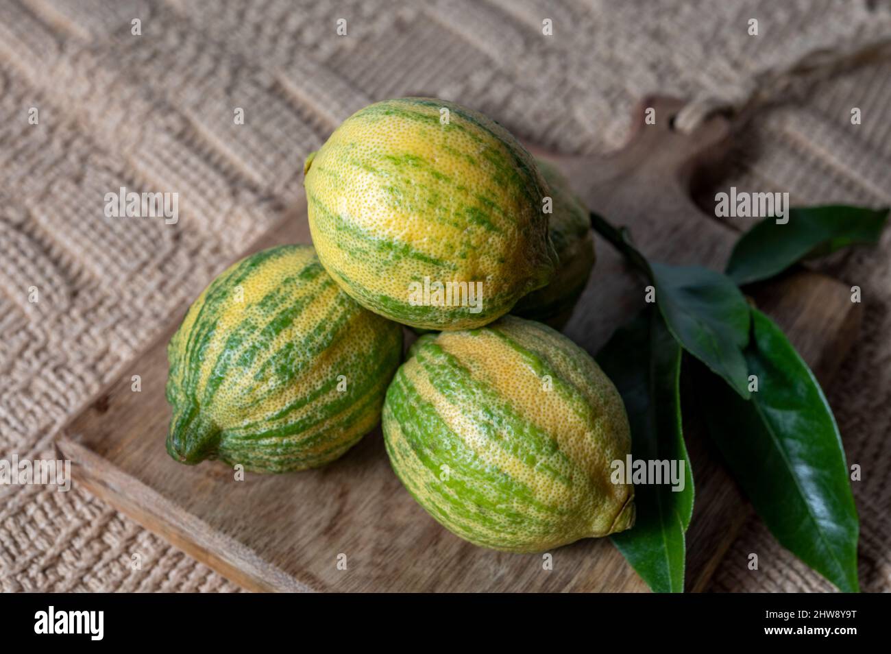 California citrus fruits, ripe colorful yellow-green Pink Tiger lemons ...