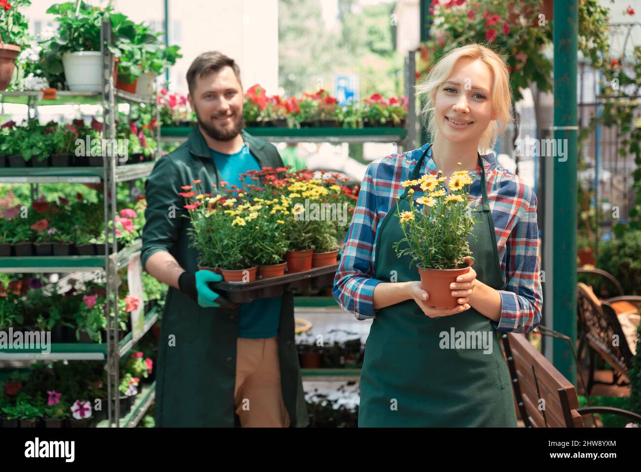 Gardeners working with flowers in garden center Stock Photo - Alamy