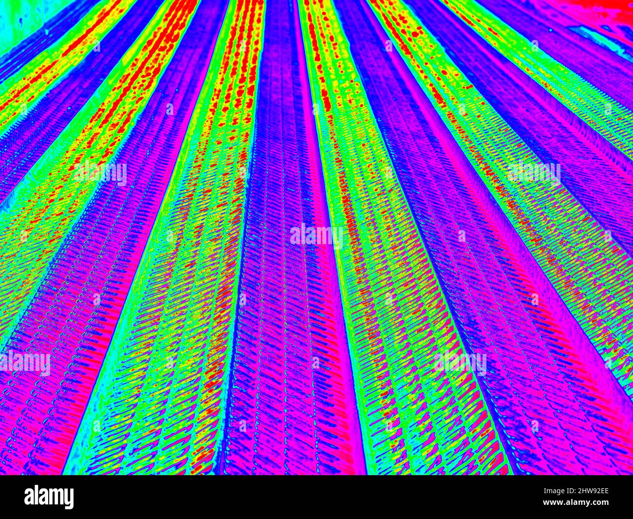 abstract art-digital art-manipulation art Stock Photo - Alamy