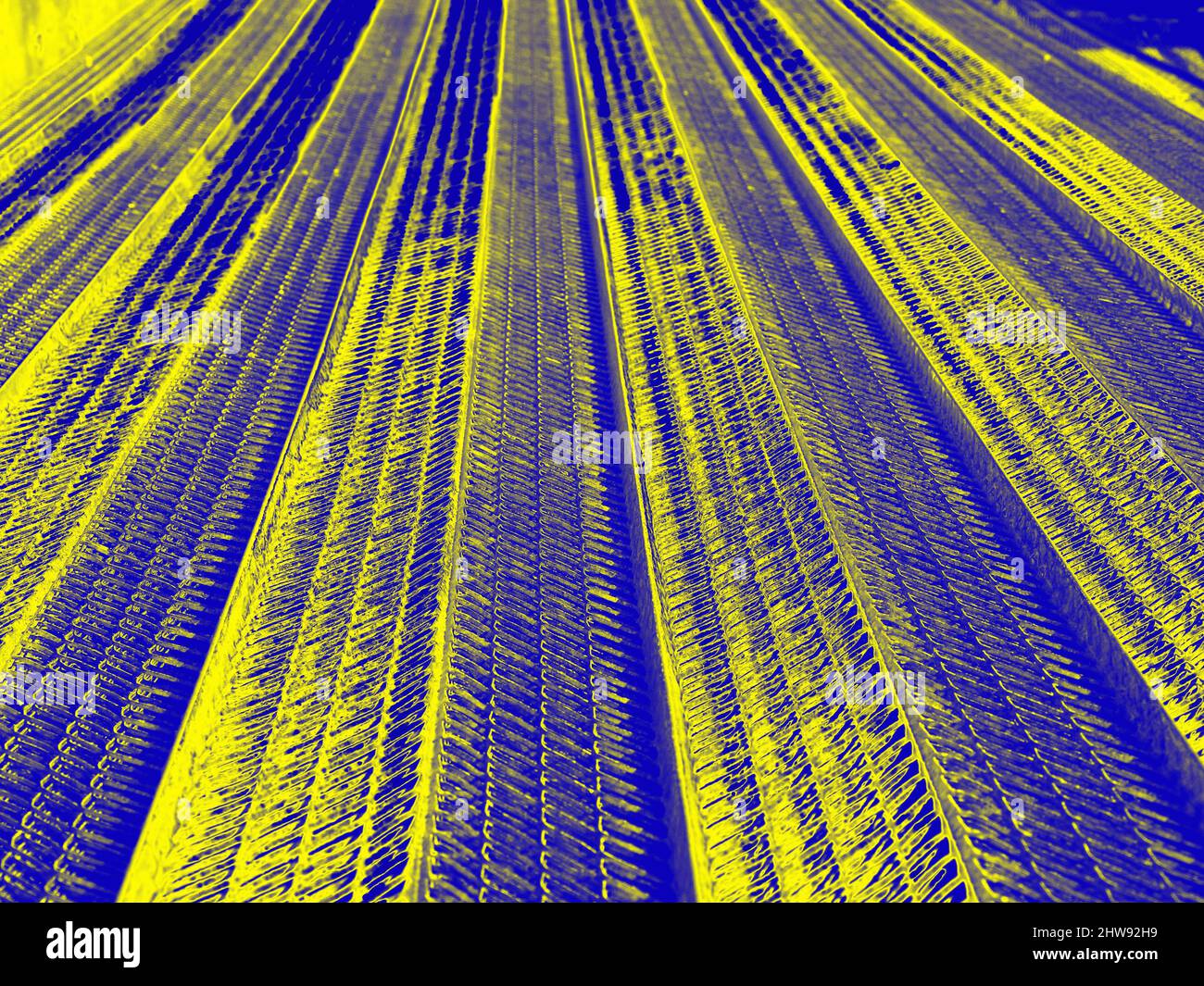 abstract art-digital art-manipulation art Stock Photo - Alamy