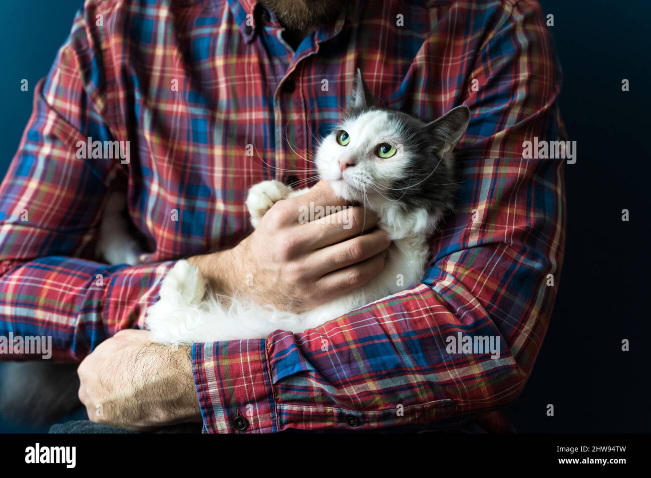 Human cat cuddle hi-res stock photography and images - Alamy