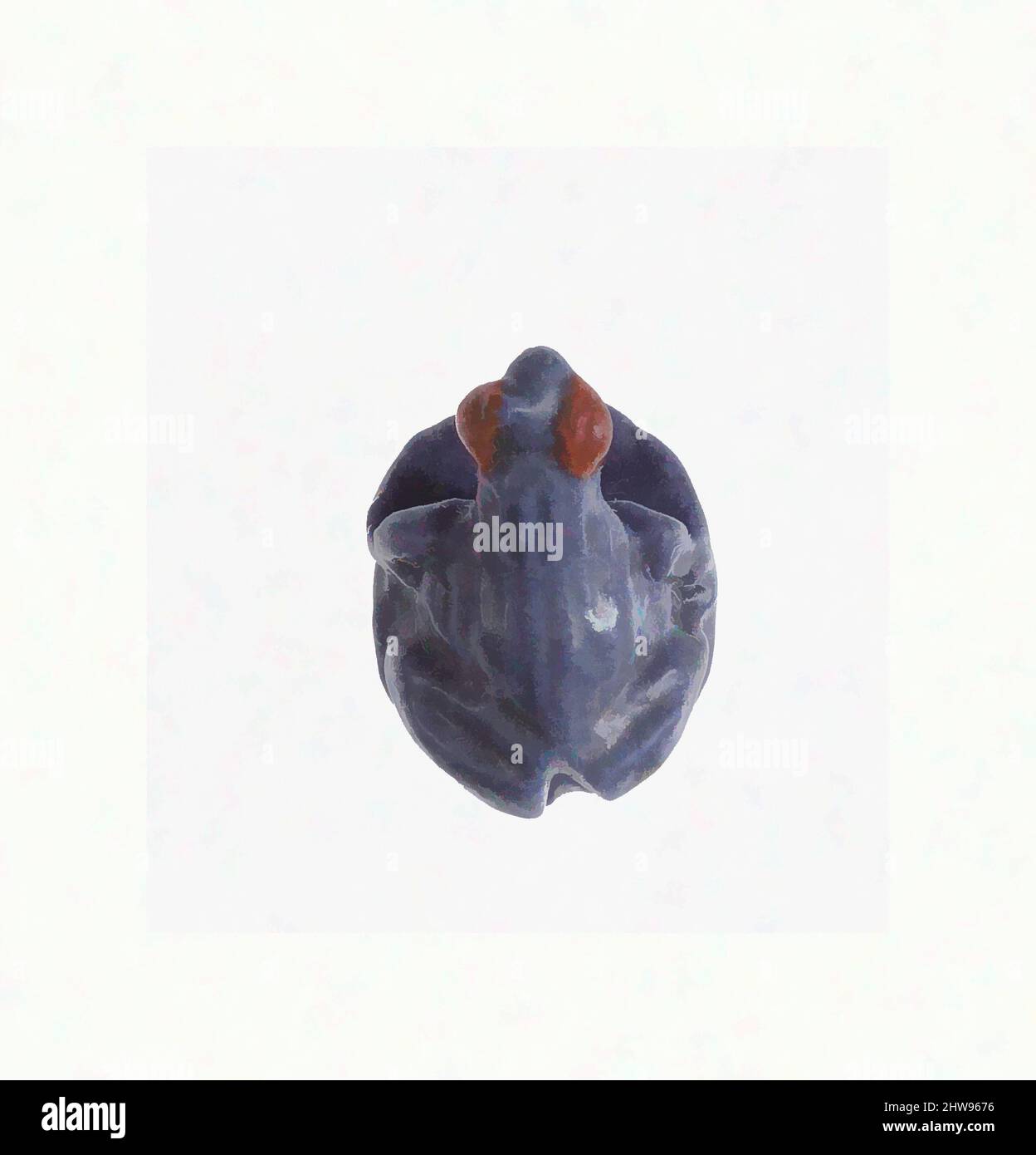 Art inspired by Frog Seal Amulet with a Sa Hieroglyph on the Base, New ...