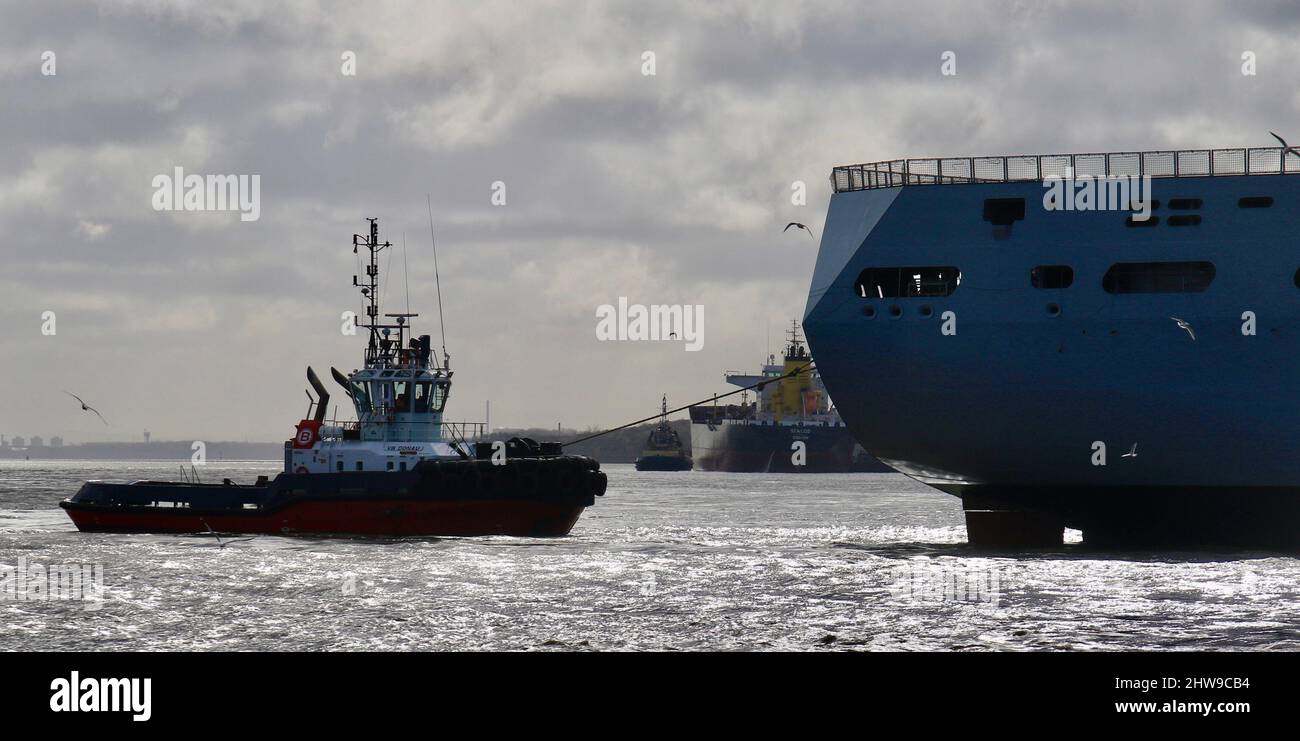 Tidespring hi-res stock photography and images - Alamy