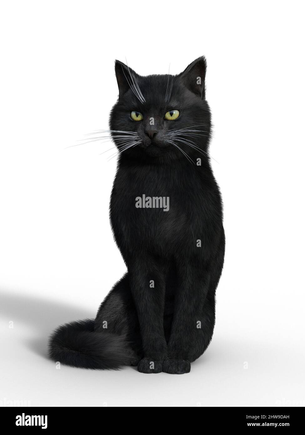 3d render of a charming realistic domestic cat isolated on white Stock ...