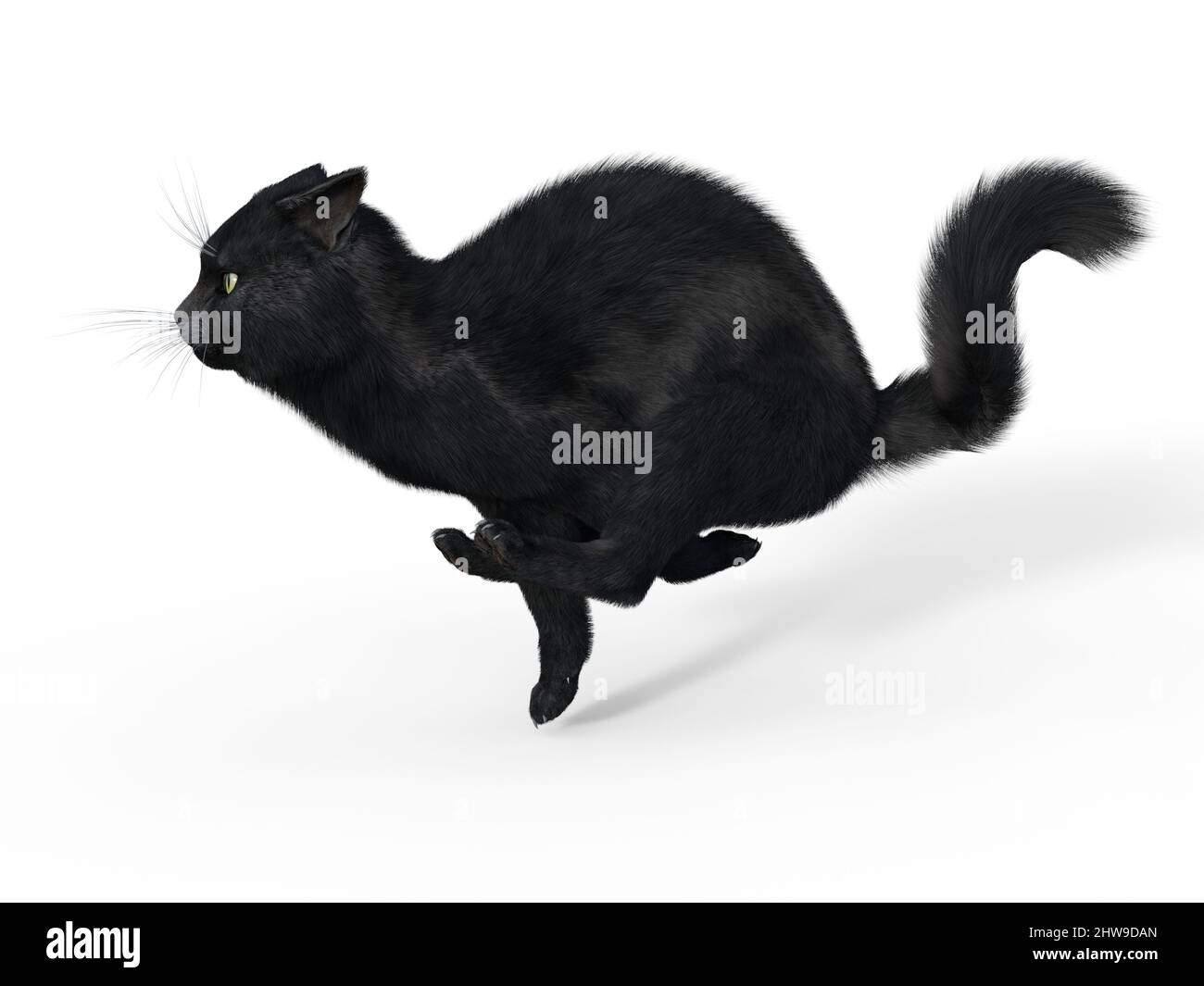 3d render of a charming realistic domestic cat isolated on white Stock ...