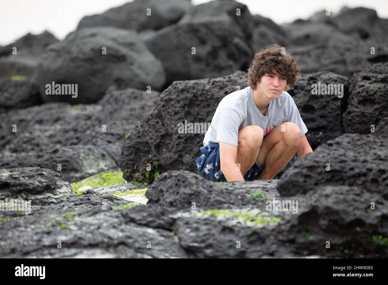 Teen kneels in a tide pool on a beach on Isabela island, Galapagos ...