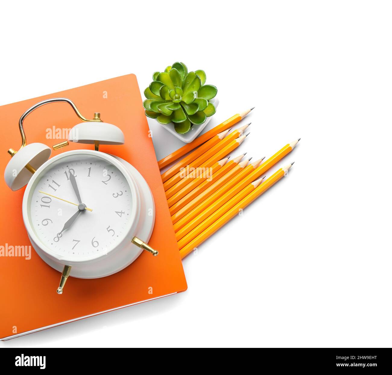Composition with alarm clock, pencils, notebook and houseplant on white ...