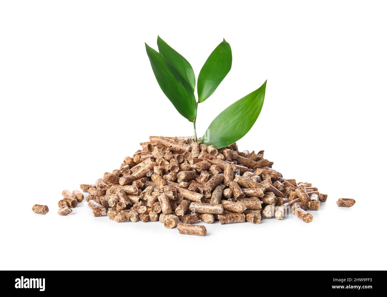 Pile of wood pellets with plant on white background Stock Photo - Alamy