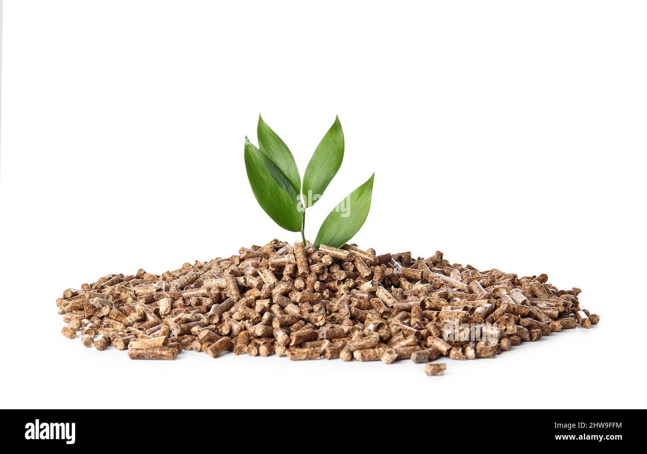 Pile of wood pellets with plant on white background Stock Photo - Alamy