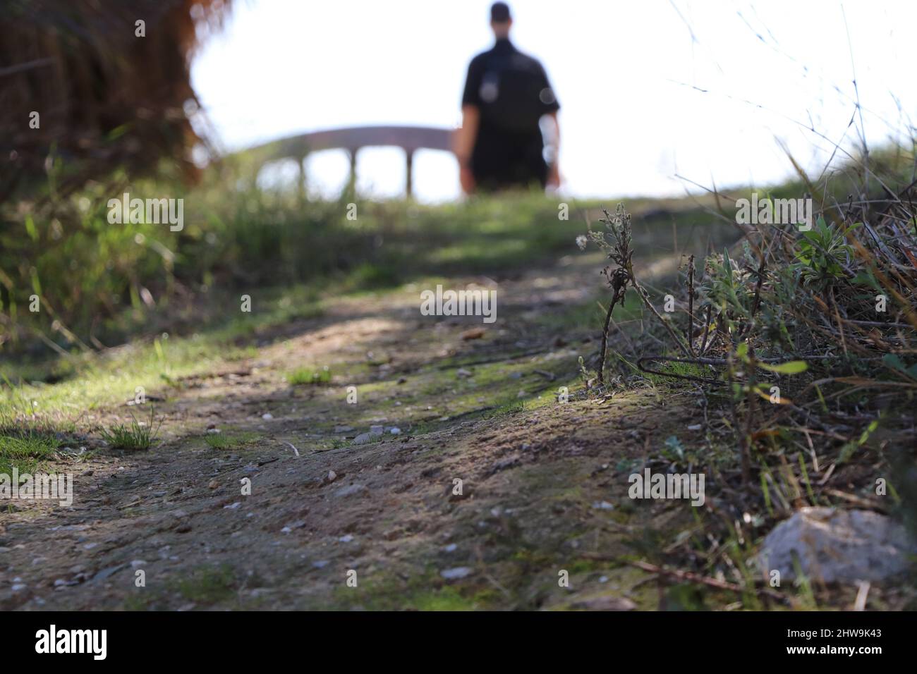 Closeup on a narrow forest pathway with an out of focus person walking ...