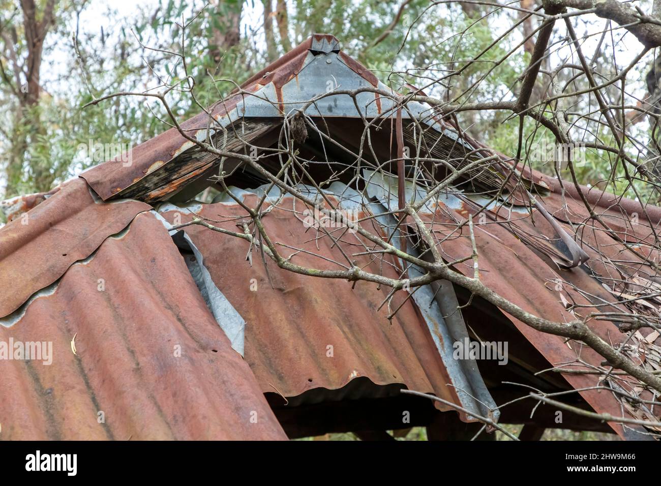 Photograph of an old brown rusty and damaged roof on an explorers hut ...