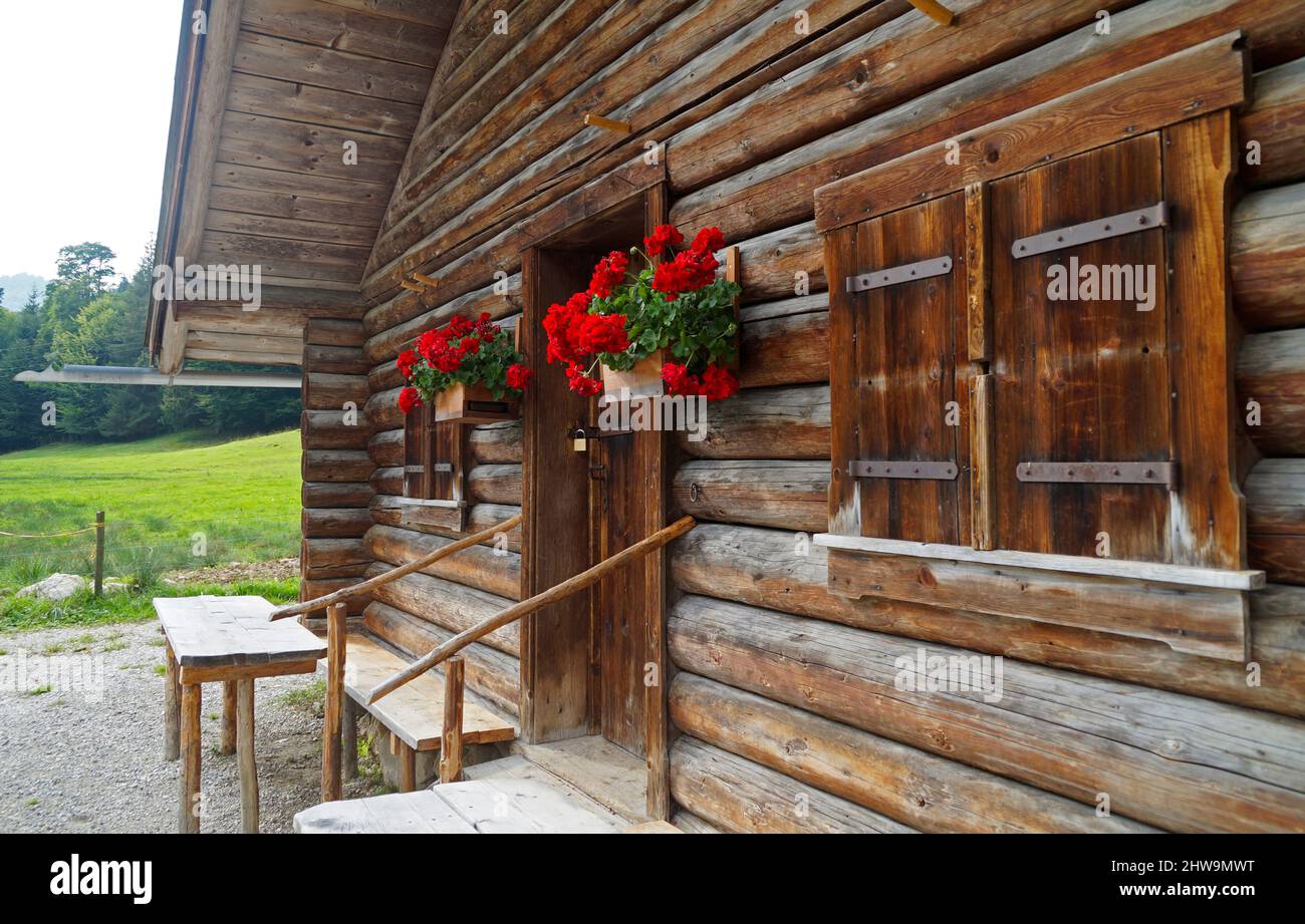 a rustic wooden cabin with geraniums on the windowsill in the German ...