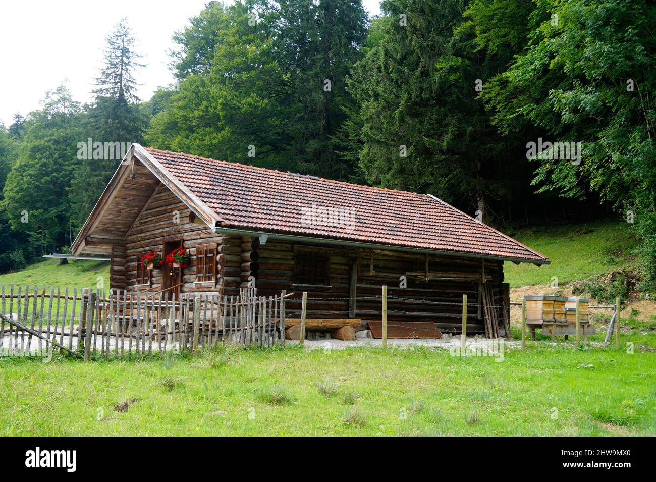 a rustic wooden cabin with geraniums on the windowsill in the German ...