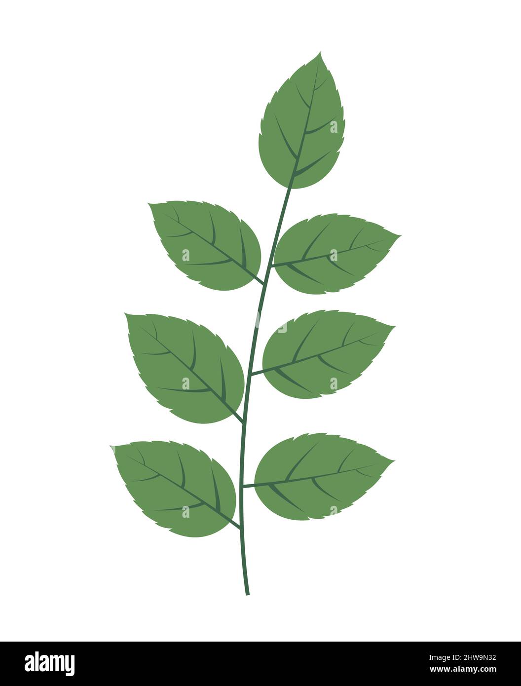 Simple Leaves Icon Illustration Stock Photo - Alamy