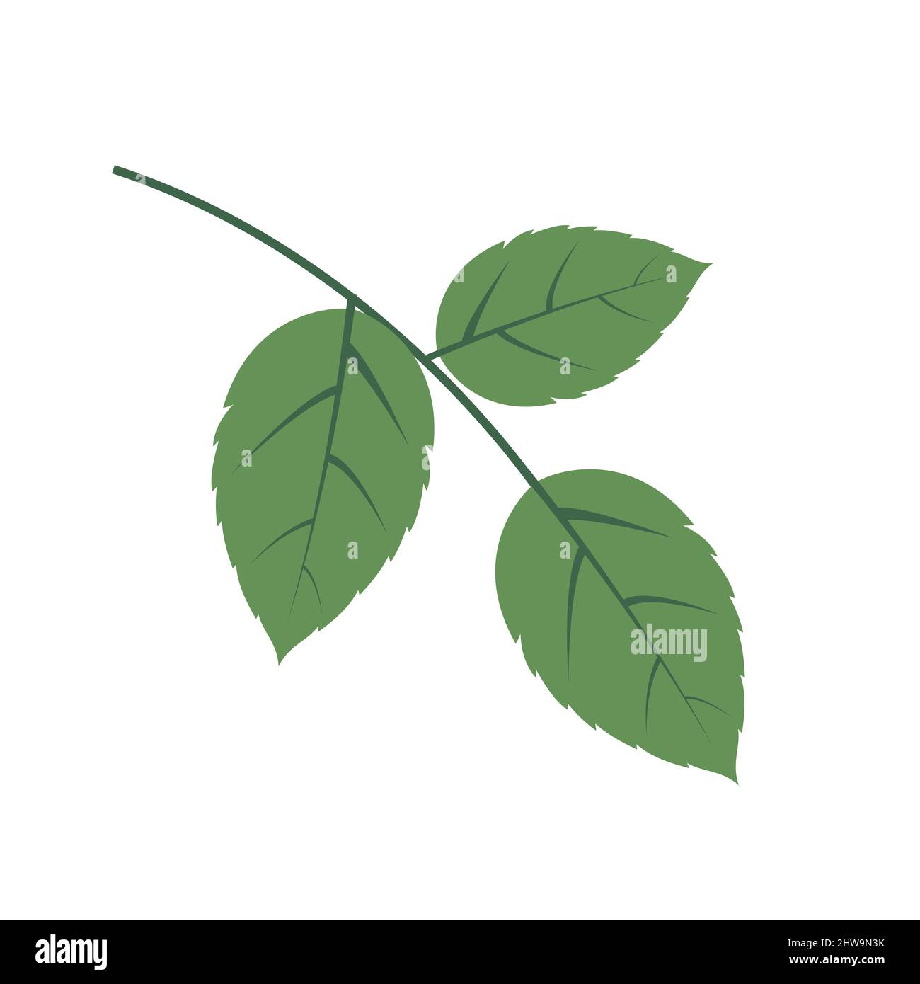 Simple Leaves Icon Illustration Stock Photo - Alamy
