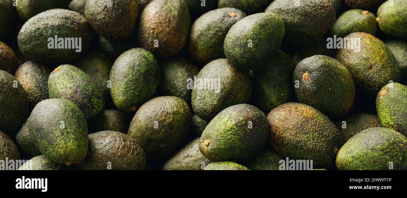 Big avocados hi-res stock photography and images - Alamy