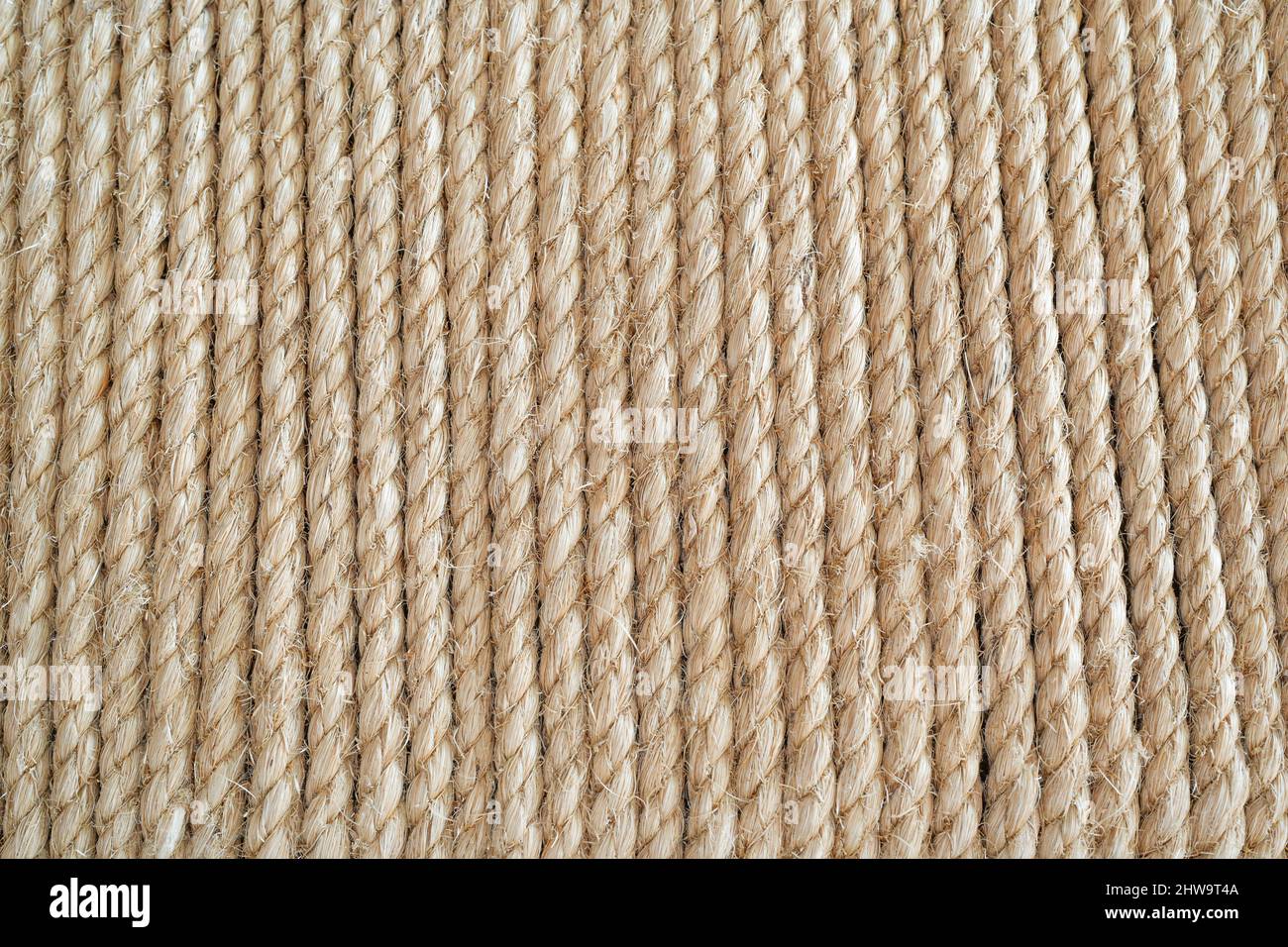 Photo of ropes lined next to each other Stock Photo - Alamy