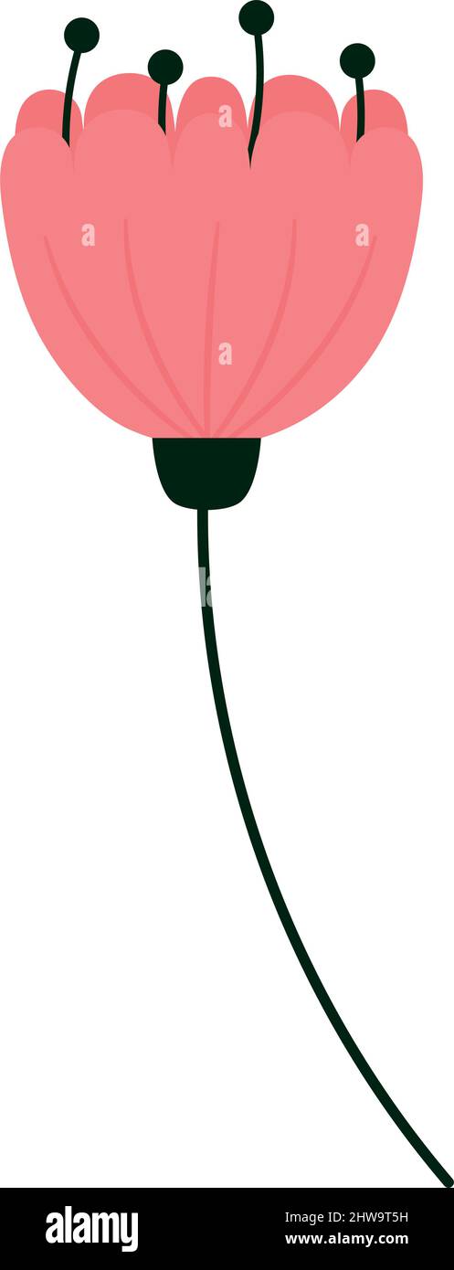 pink flower illustration Stock Vector Image & Art - Alamy