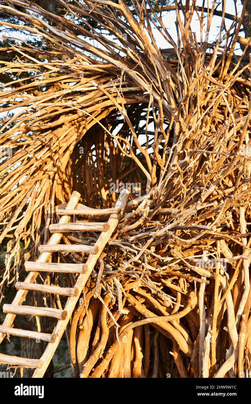 Glamping hut hi-res stock photography and images - Alamy