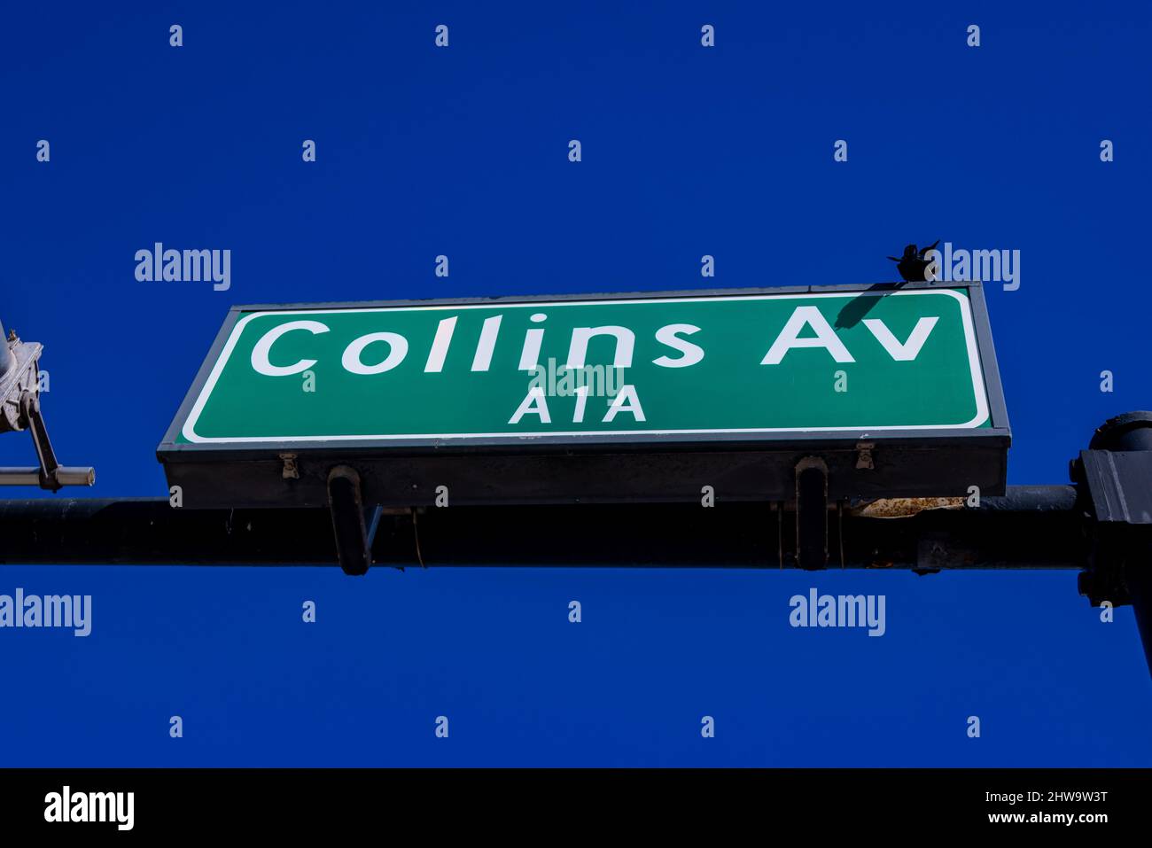 Famous Collins Avenue - street sign in Miami Beach Stock Photo - Alamy