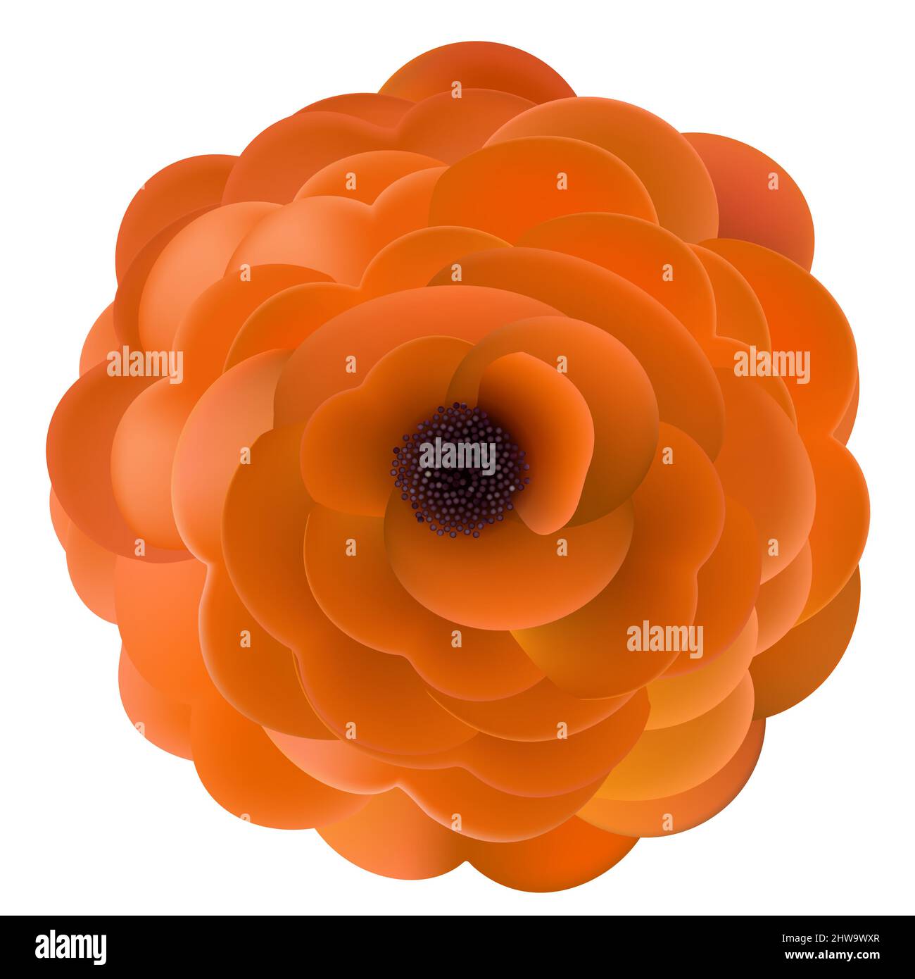 Realistic Abstract flower design element. Illustration Stock Photo - Alamy