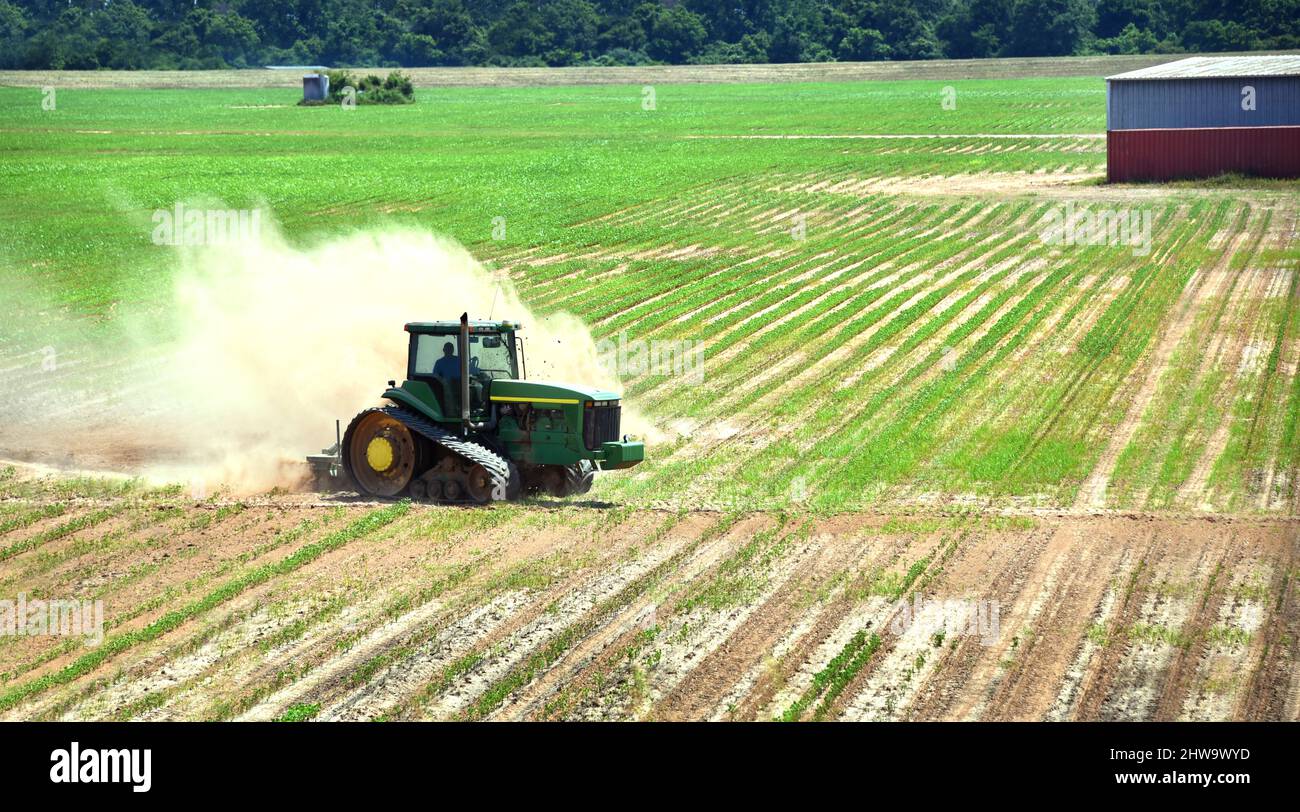 Farmer drives tractor over field discing it up. Dust boils from back of ...