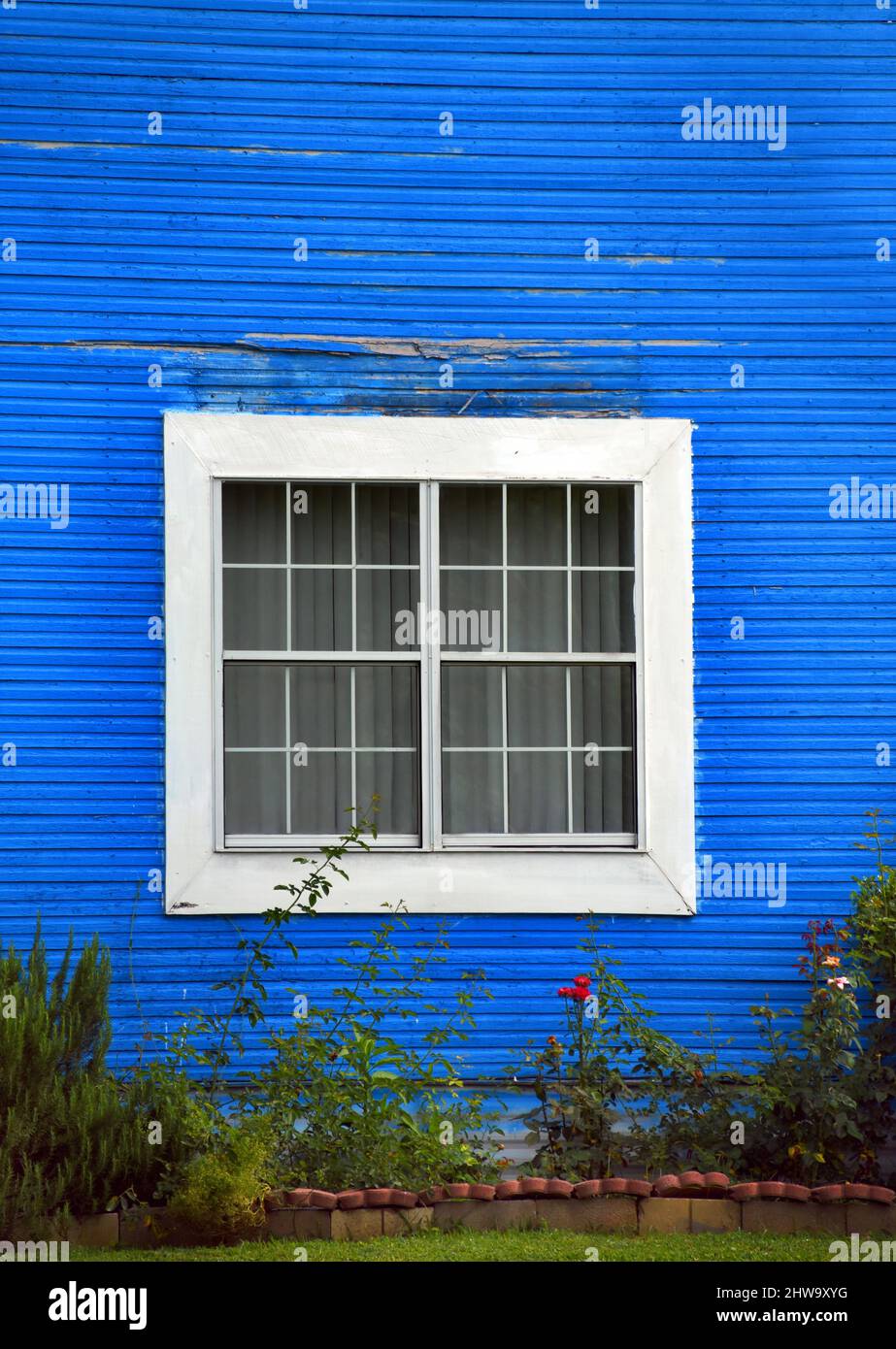 Rustic, wooden house is painted blue. Window is trimmed in white ...