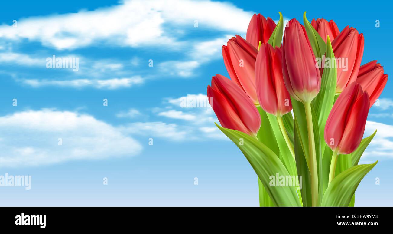 Realistic Natural Tulips Flower Background with sky and cloud ...