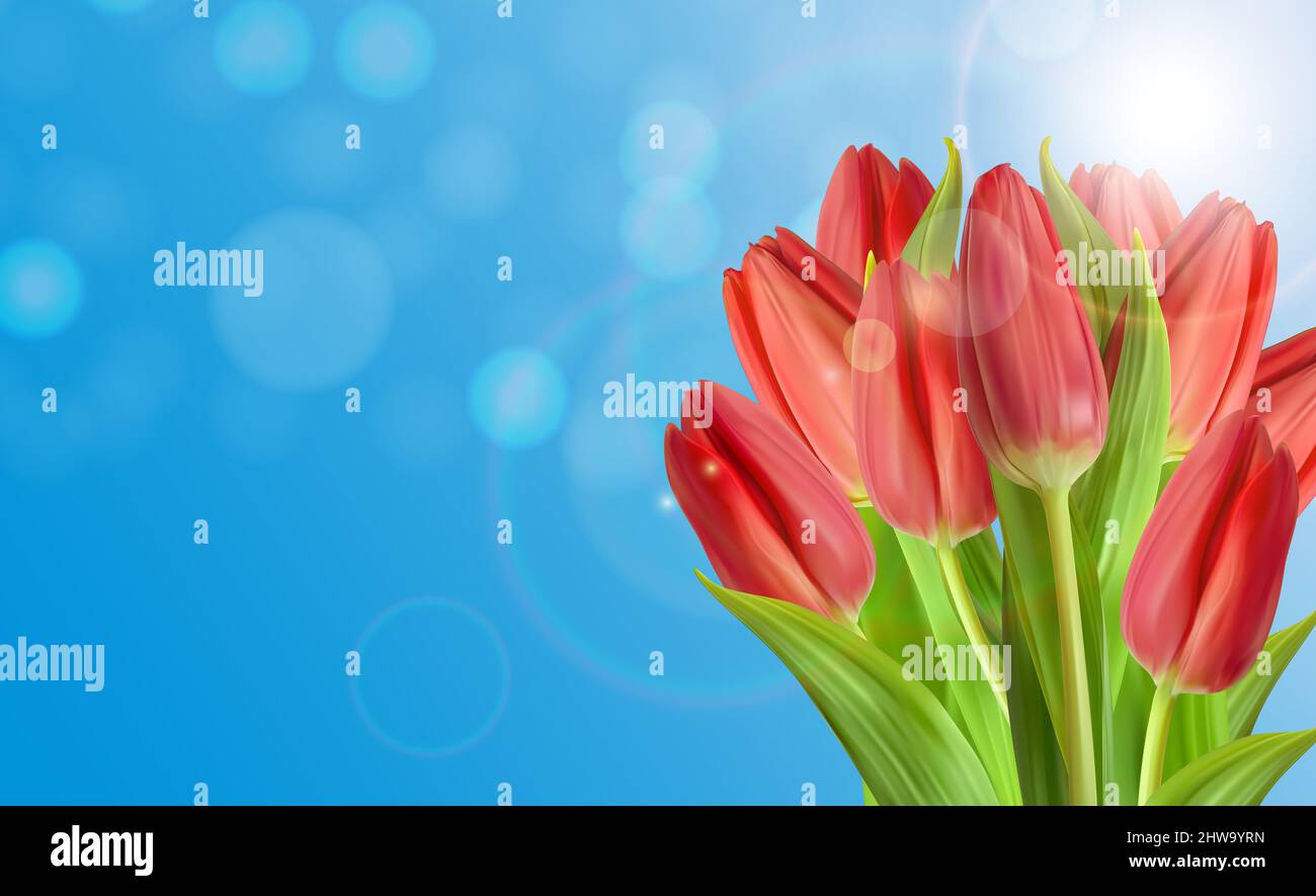 Realistic Natural Tulips Flower Background with sky. Illustration Stock ...