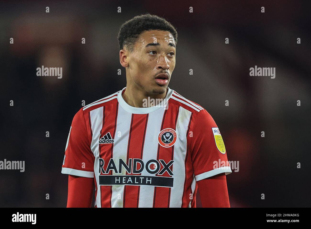 Daniel Jebbison #36 of Sheffield United during the game Stock Photo - Alamy