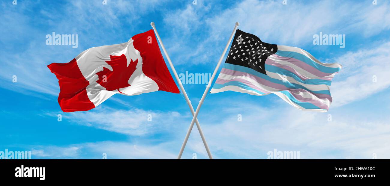 crossed national flags of Canada and TransAmerica flag waving in the ...