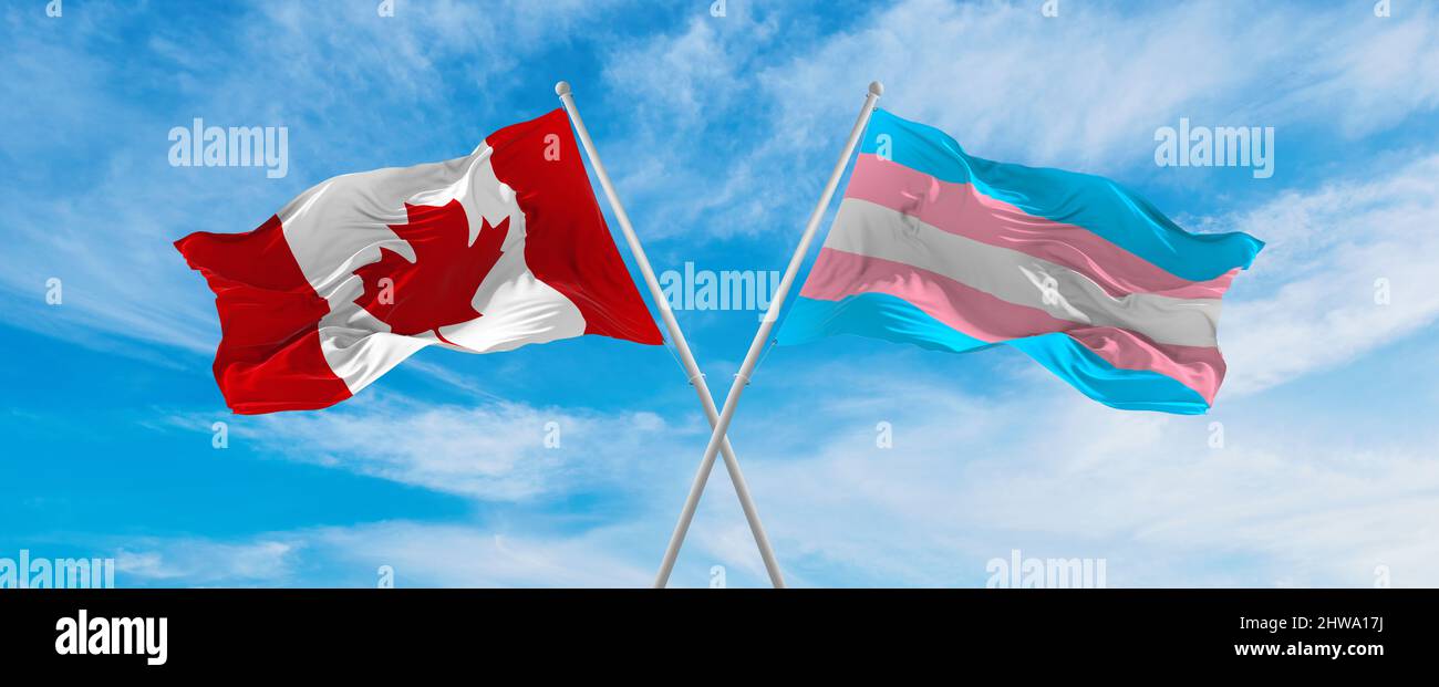 crossed national flags of Canada and transgender Pride flag waving in ...