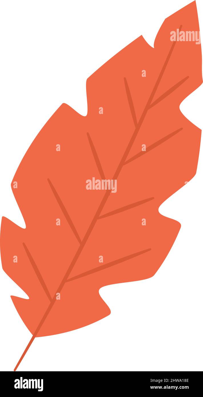 red leaf design Stock Vector Image & Art - Alamy