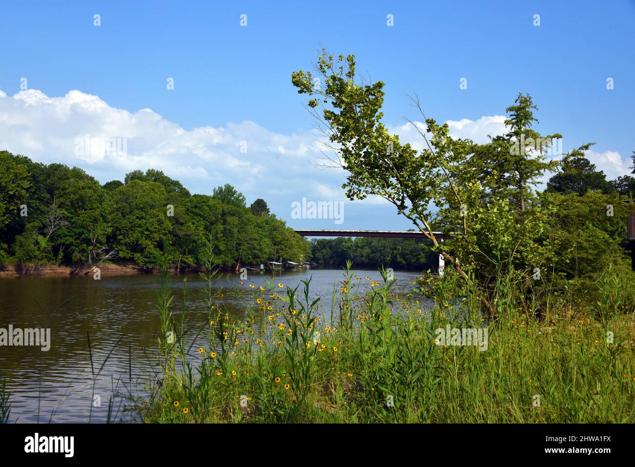 Landscape image shows the Ouachita River Bridge and shoreline. Yellow ...