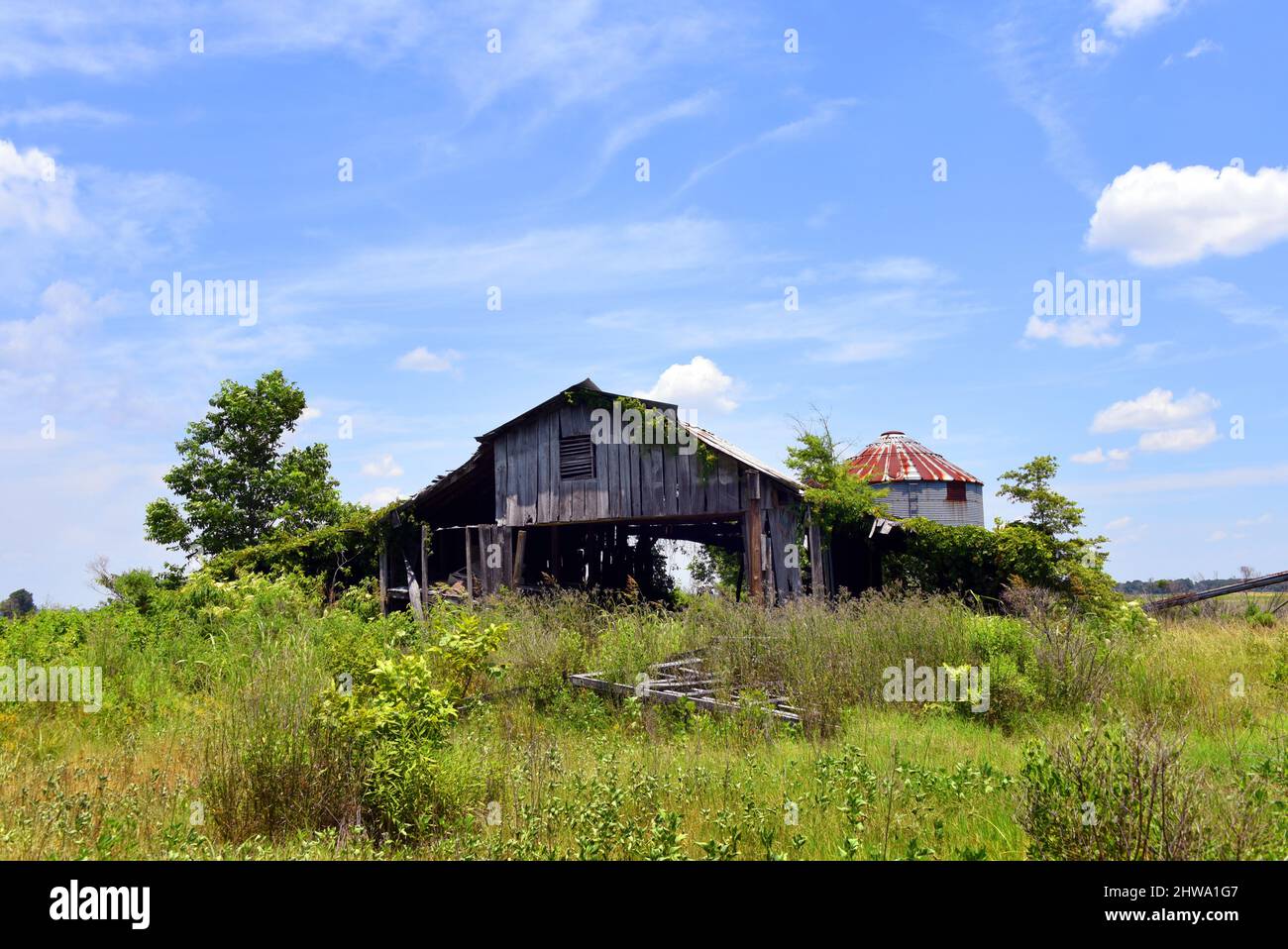 Tall barn tin roof hi-res stock photography and images - Alamy