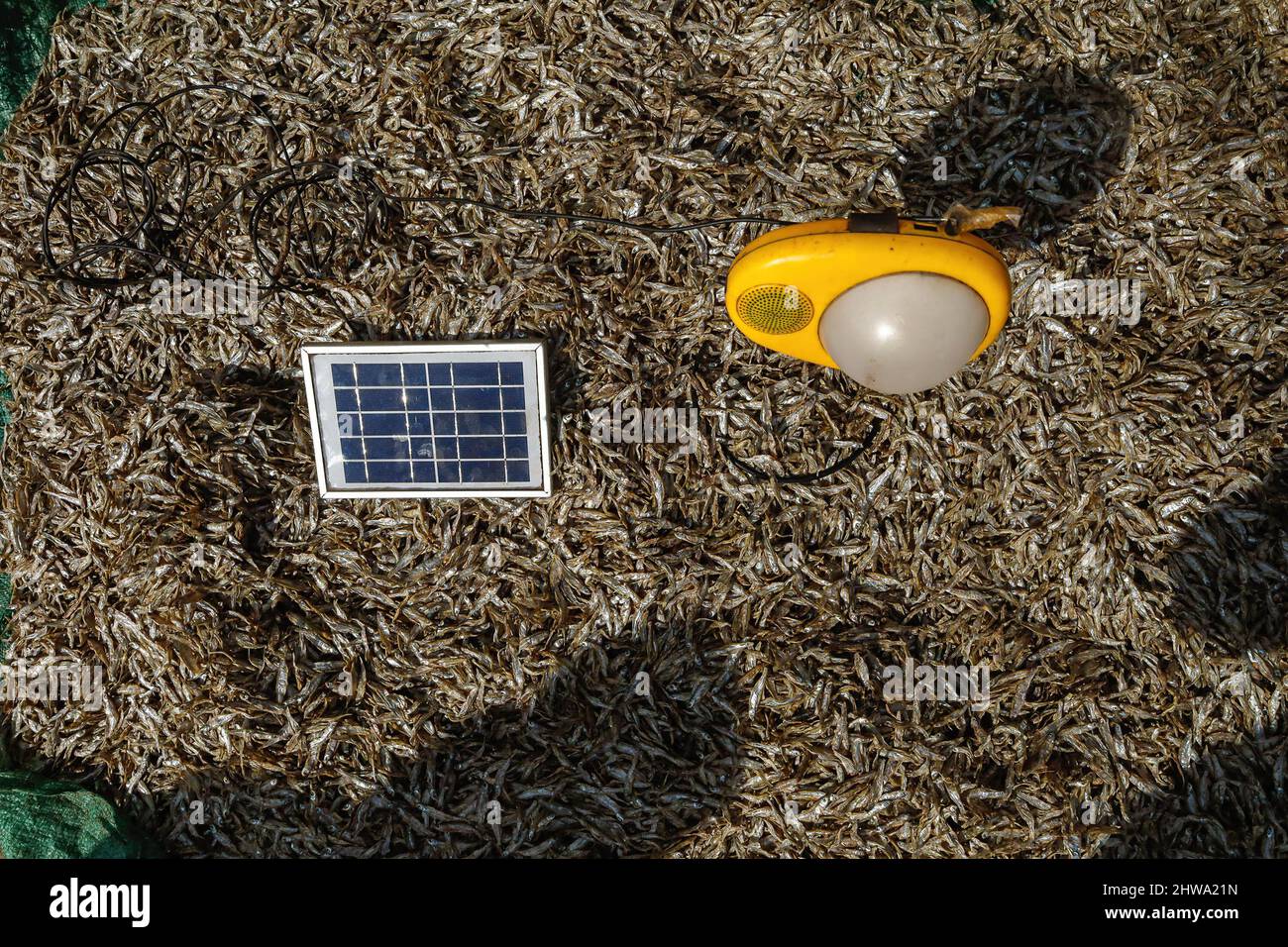 A solar powered lamp charging by the Street in Kibera Slums. In Kibera ...