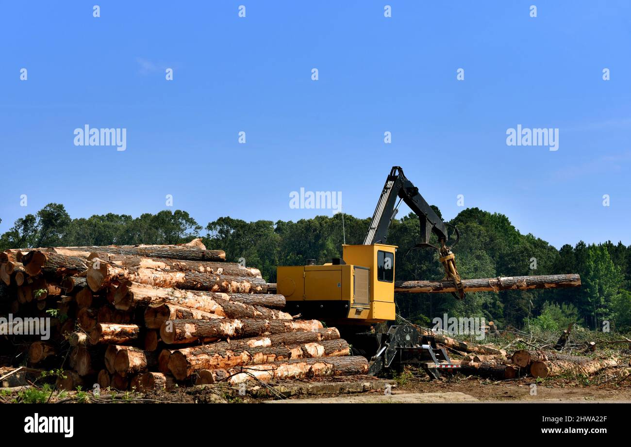 Log loader lifts heavy logs and stacks them ready for transport. Long ...