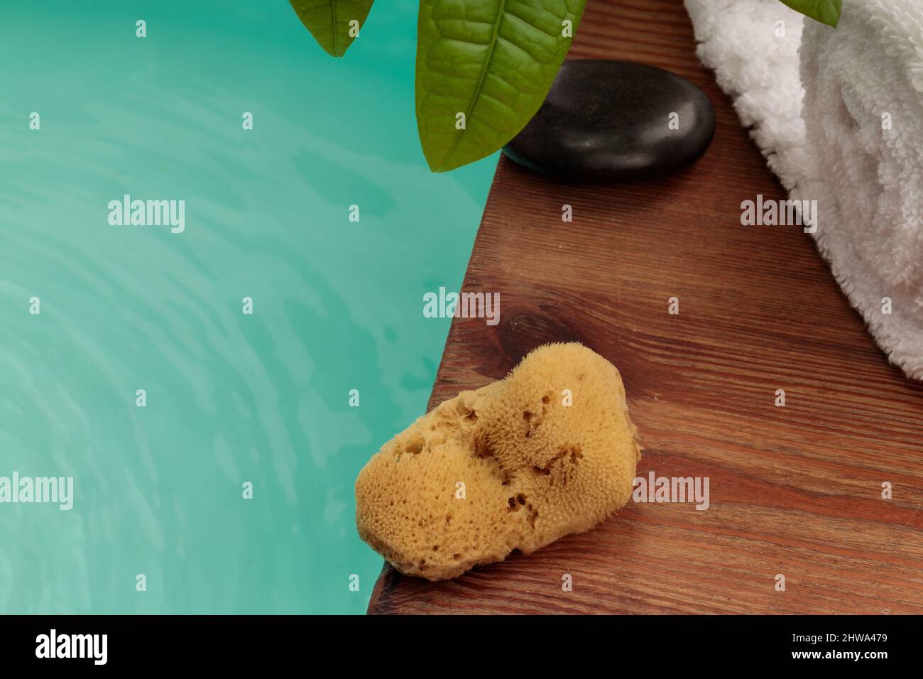 Spa composition, natural goo. Eco-friendly product, zero waste. Space ...