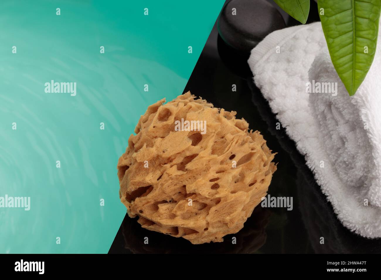 A natural bathing sponge from the sea. Ecological product, friendly to ...