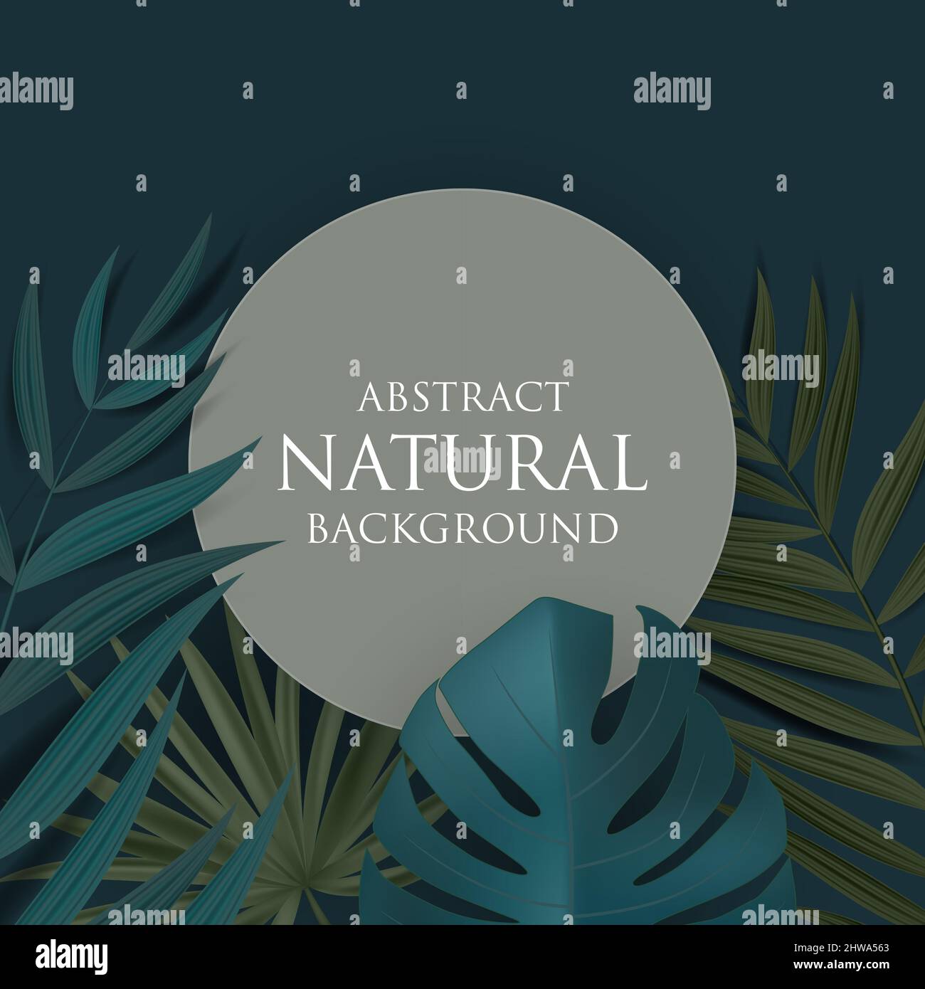 Abstract Natural Background with Tropical Palm and Monstera Leaves ...