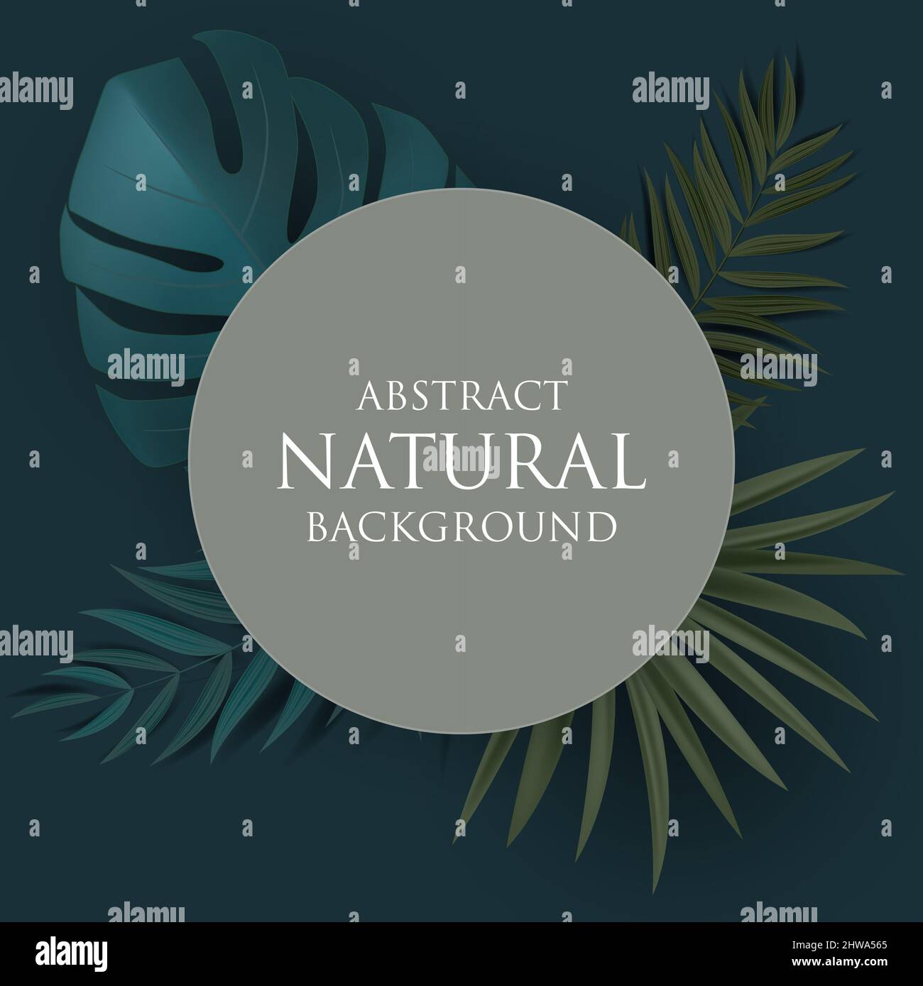 Abstract Natural Background with Tropical Palm and Monstera Leaves ...