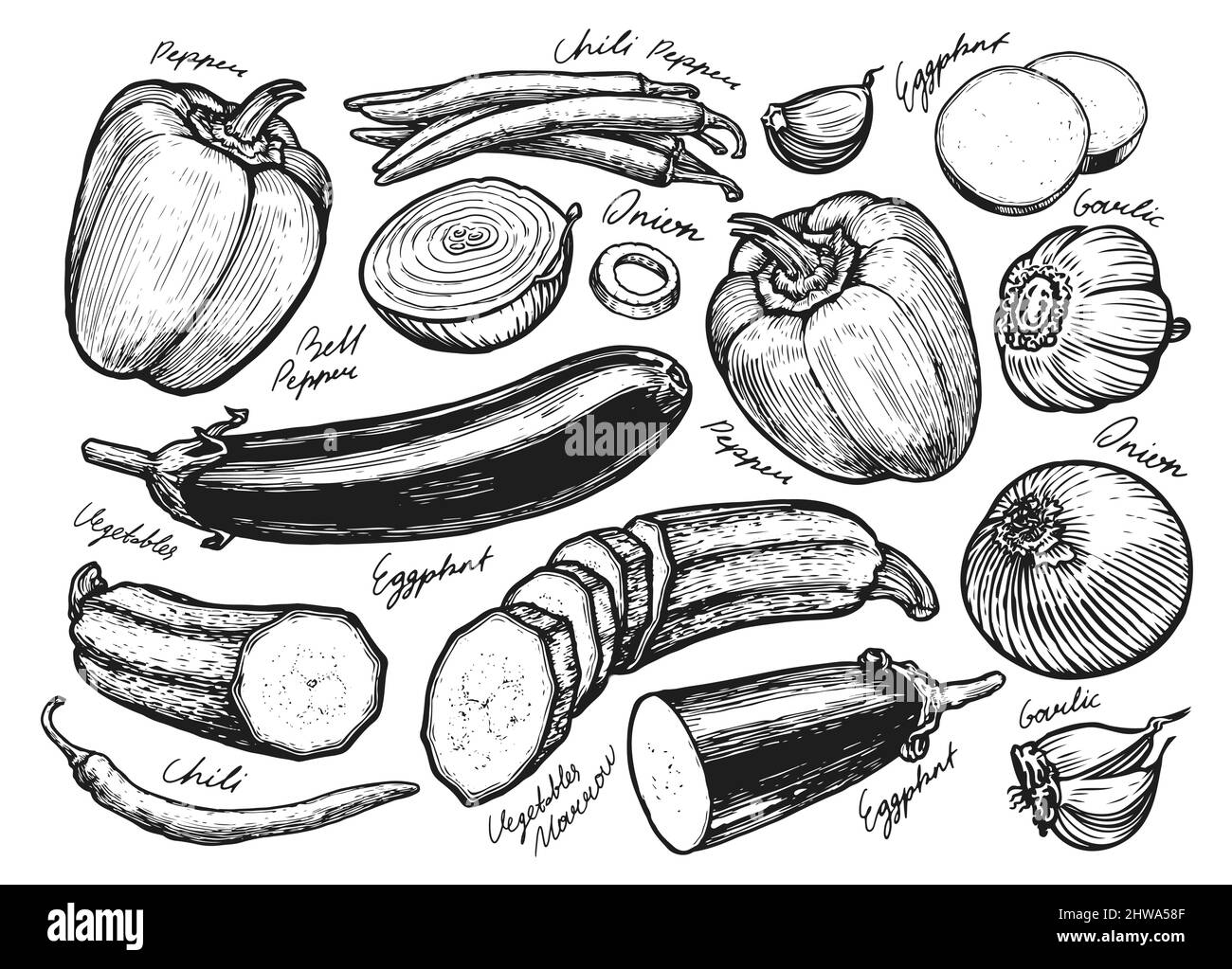Fresh vegetables set sketch. Farm food hand drawn vintage vector ...