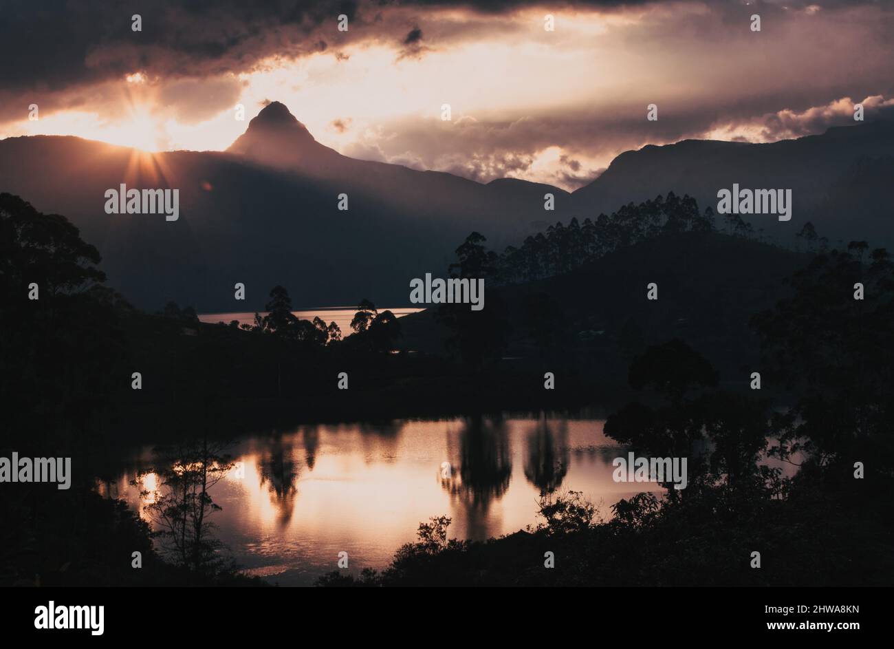 panorama of the tea plantations at sunset - Sri Pada peak in the ...