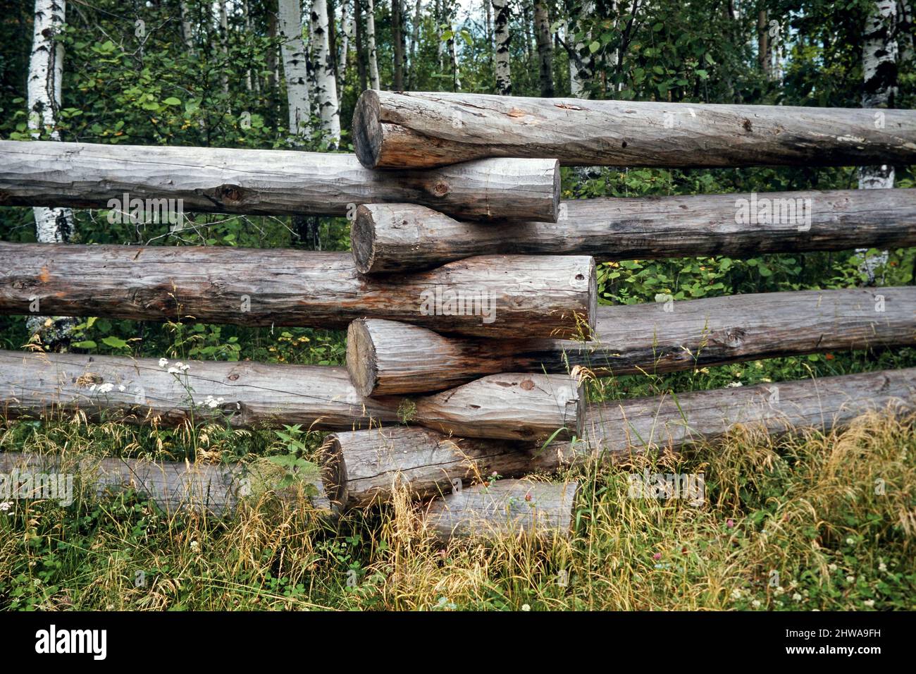 yard enclosure with stacked peeled tree trunks in front of birch forest ...